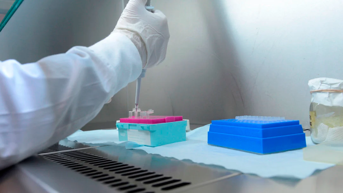 El Malbrán logró secuenciar el genoma completo del nuevo coronavirus ...