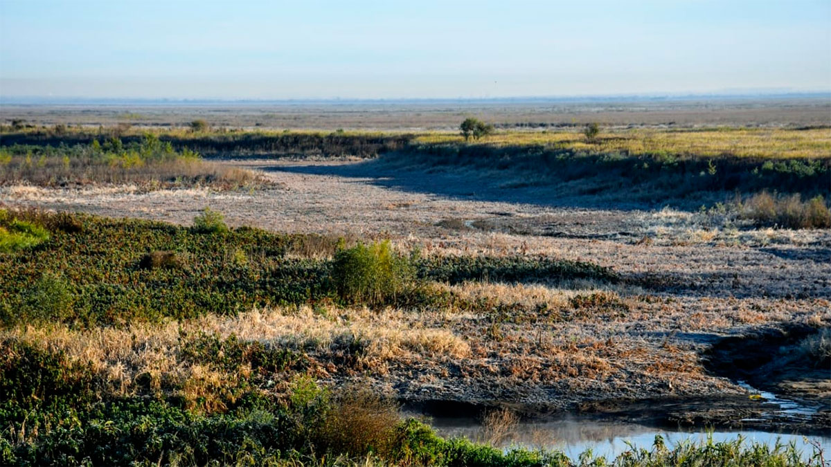 rio15 – El Quid De La Cuestión