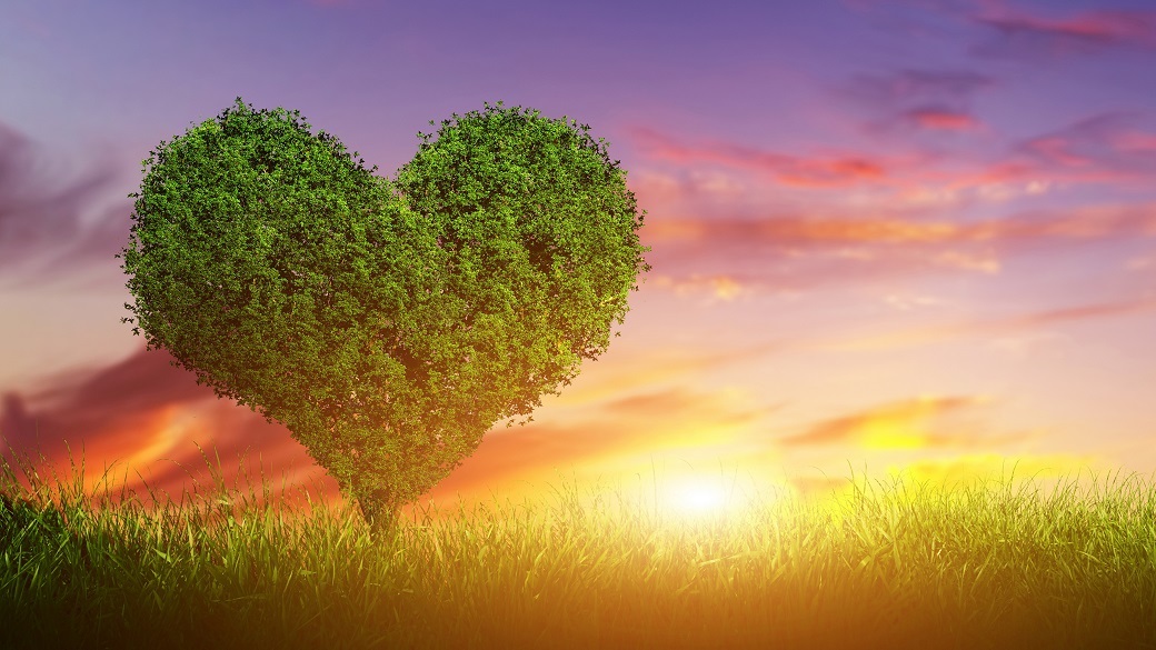 Los males del mundo son consecuencia de la falta de amor – El Quid De ...